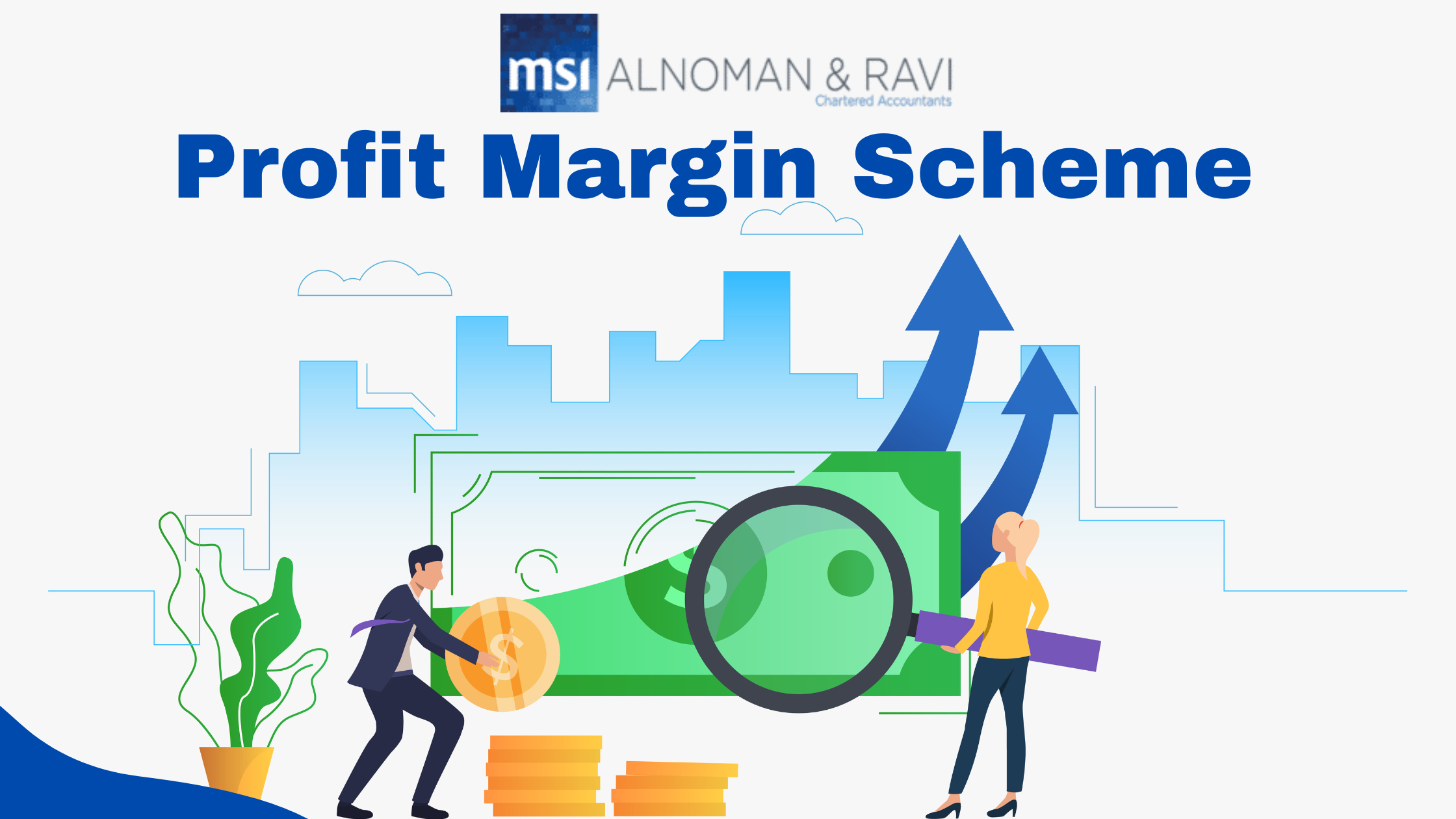 What is the Profit Margin Scheme? UAE VAT